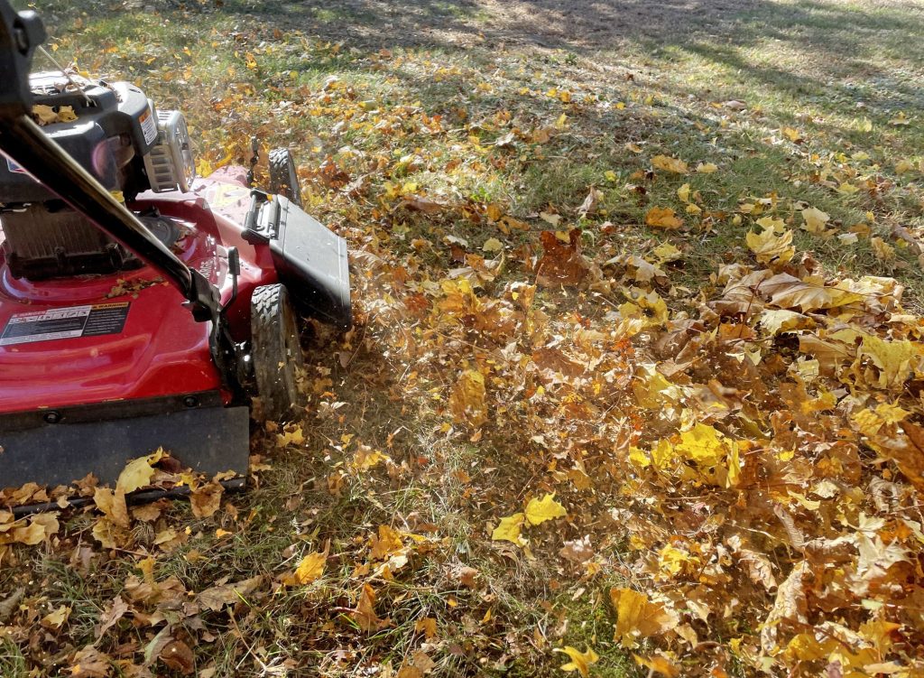 How to Mulch Leaves With Lawn Mower: Expert Tips and Tricks
